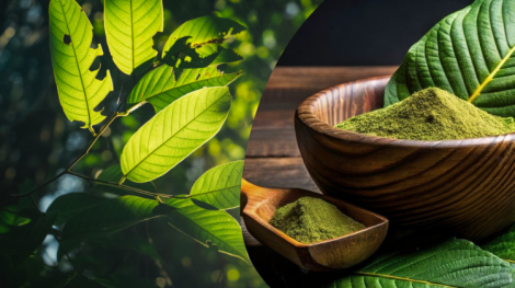 Kratom Strain Chart: Ultimate Guide to Strains and Effects